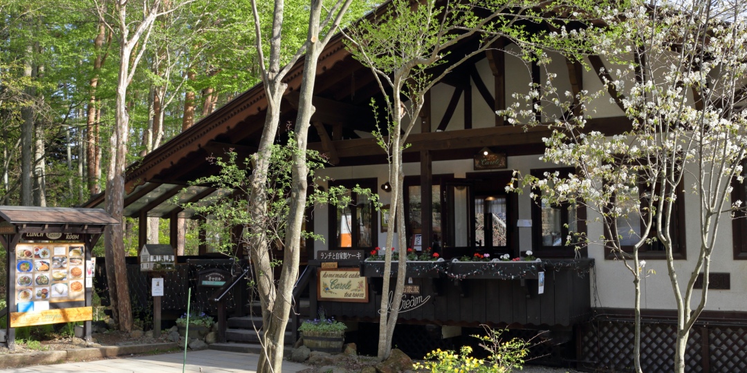 carole_spring | 清里 キャロル